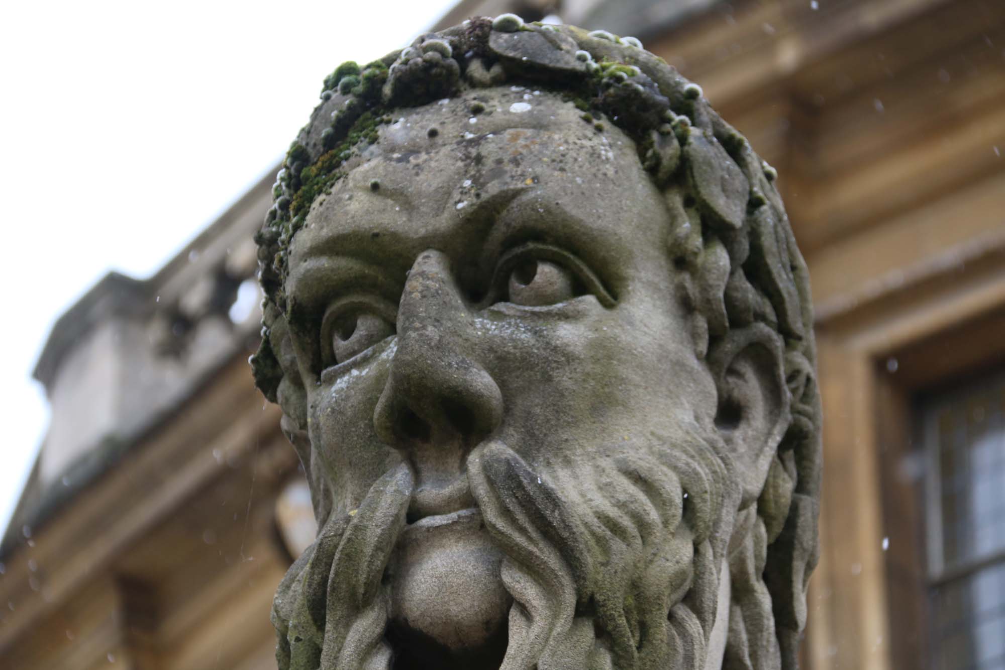 The mystery of the decaying "Emperor Heads" | Oxford University ...